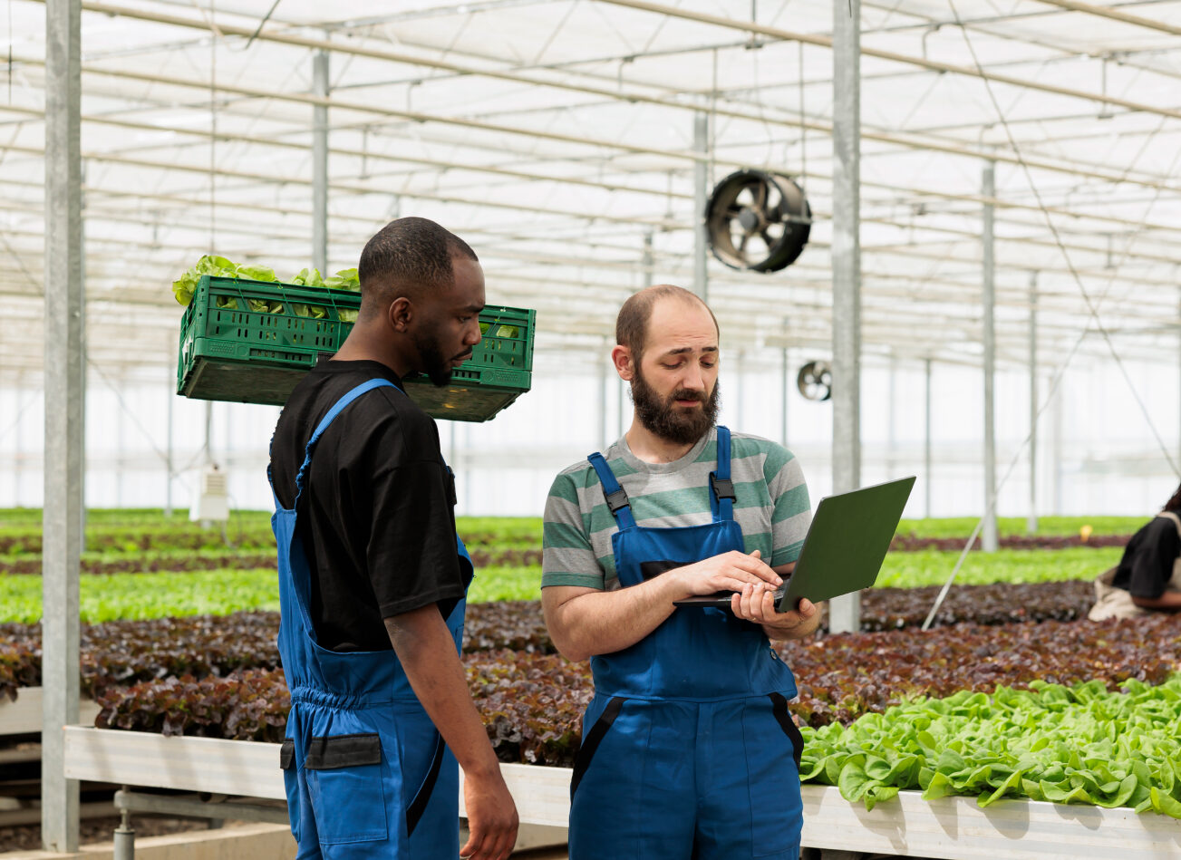 O maior software para Gestão de Fornecedores na área Alimentícia